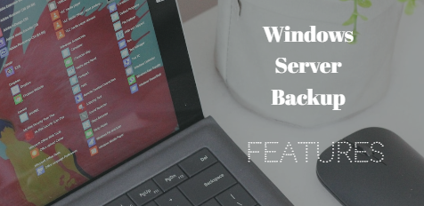 [Detailed Steps] Windows Server Backup: Install, Backup and Restore